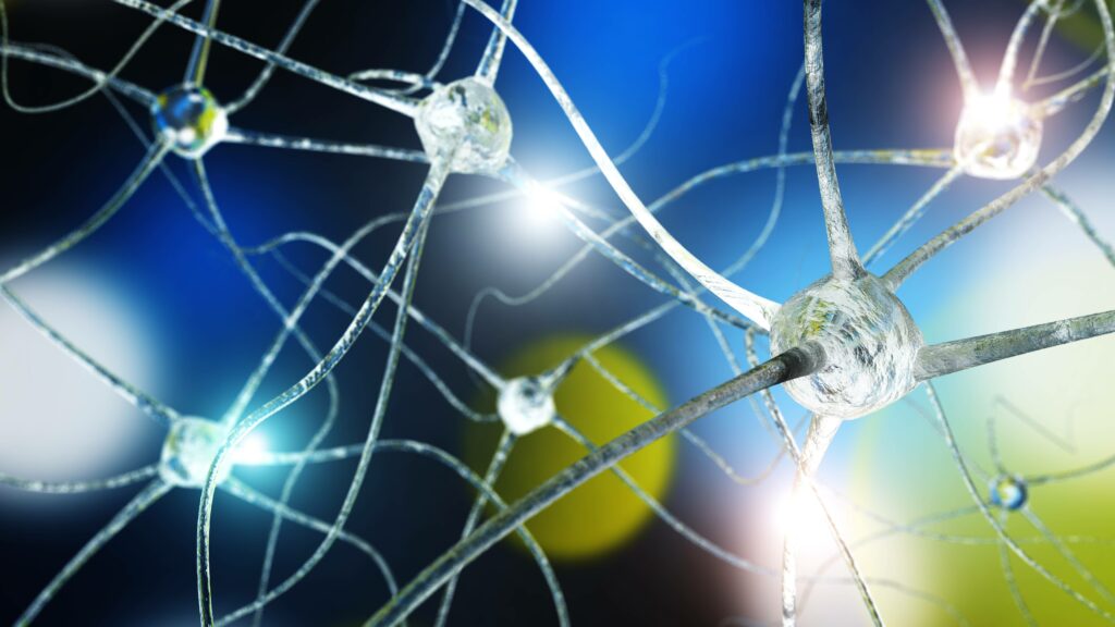 Our Story | Innovation In Multifunctional Diagnostic Testing